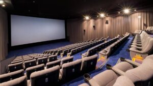 What are multiplex and single-screen cinemas, and how are they ...